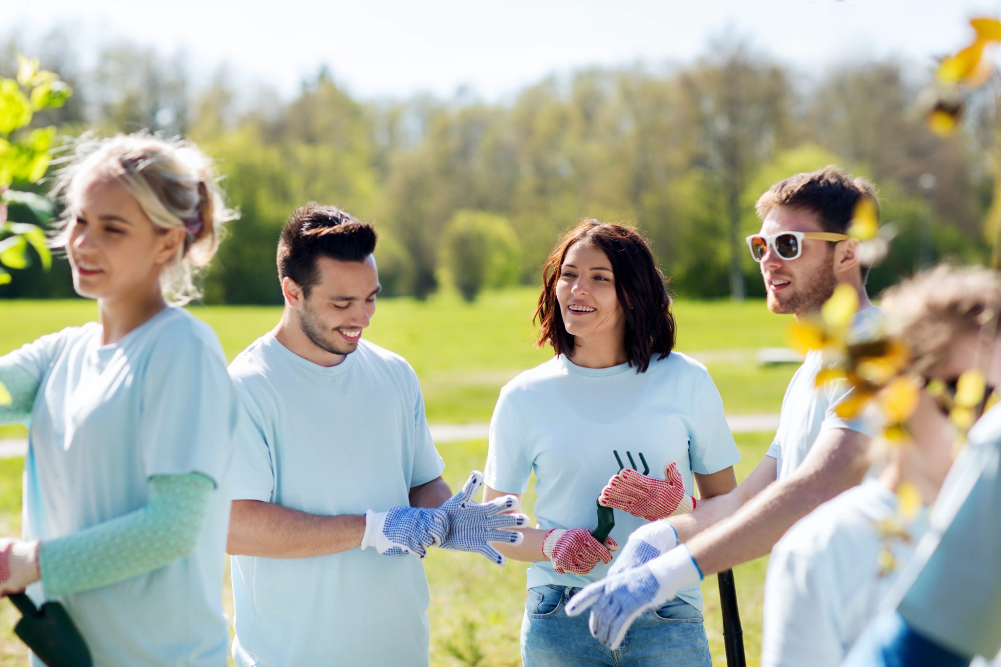 Charities and Not-for-Profit Legal Services | Doak Shirreff